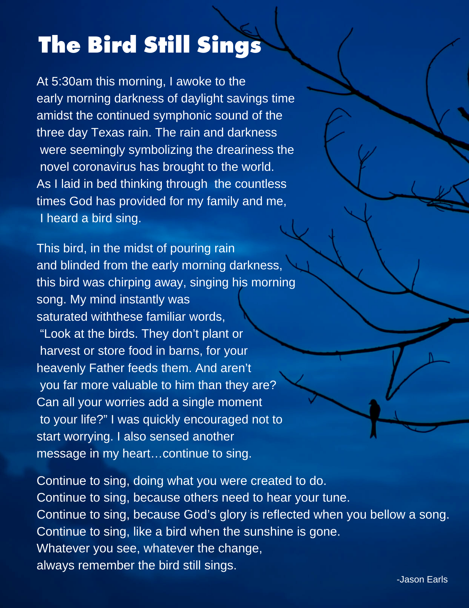 The Bird Still Sings – JasonEarls